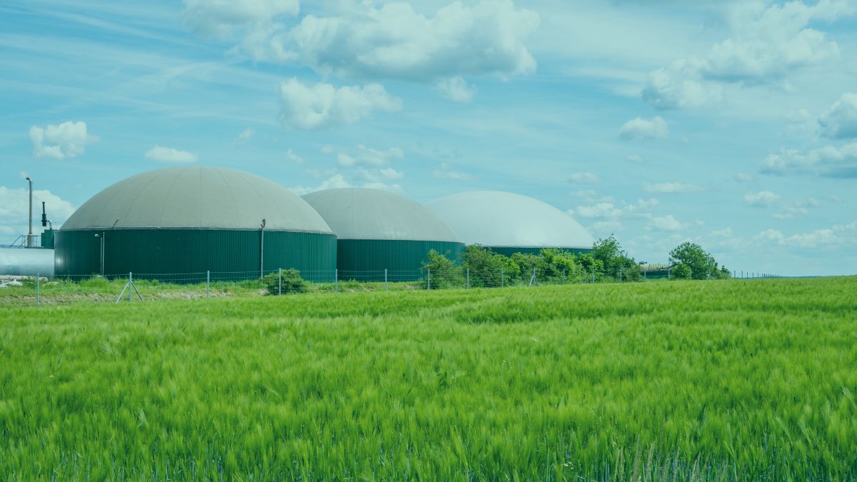 Zoom sur le biogaz : production, prix, avantages etc